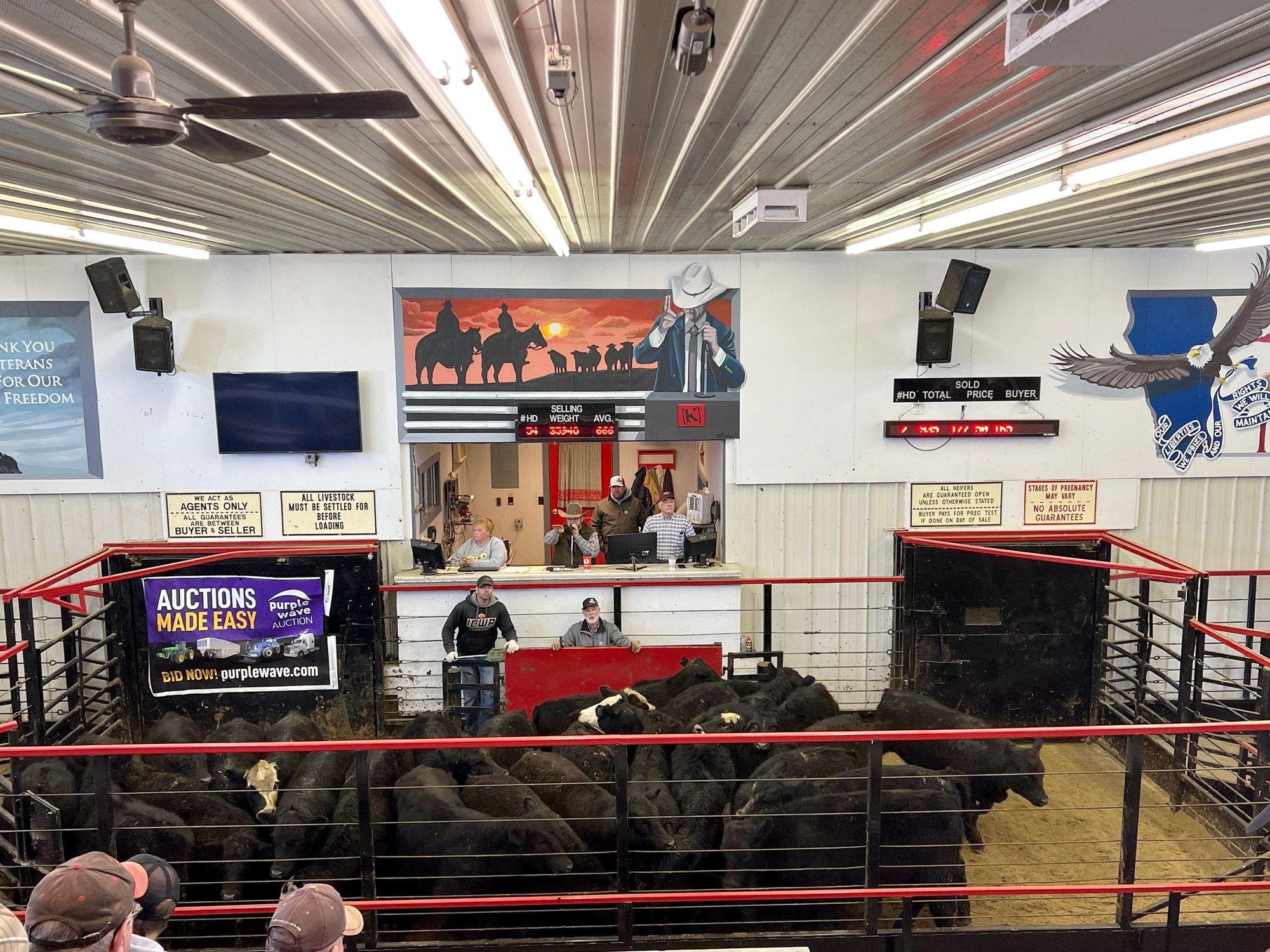 Knoxville – Western Livestock Auctions