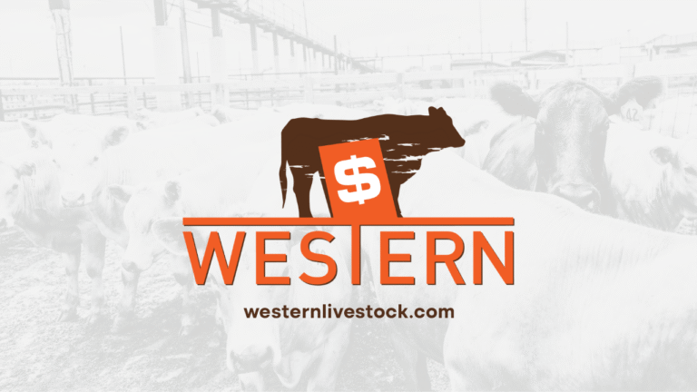 Comanche – Western Livestock Auctions