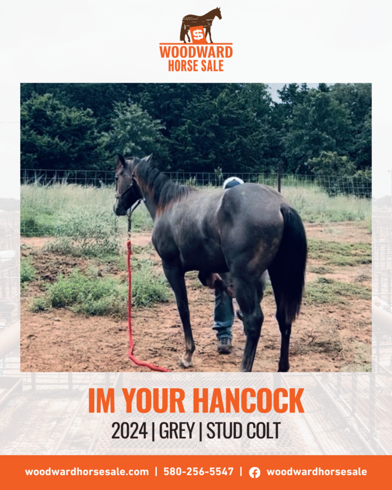 September 20, 2025 – Western Livestock Auctions